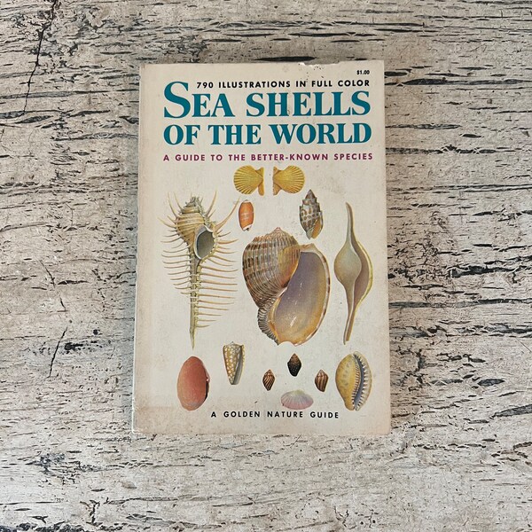 Sea Shells Books - Etsy