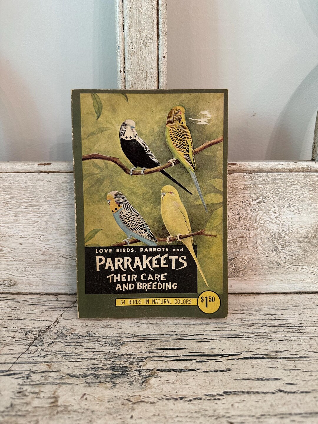 Vintage Bird Book - Love Birds, Parrots and Parakeets - 1954 - Pretty ...