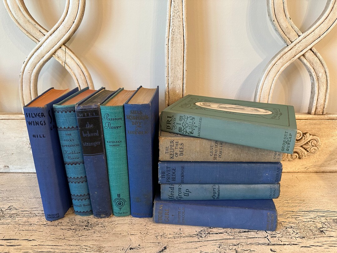 Farmhouse Tattered Book Stack Blue Books Edwardian 1920s - Etsy