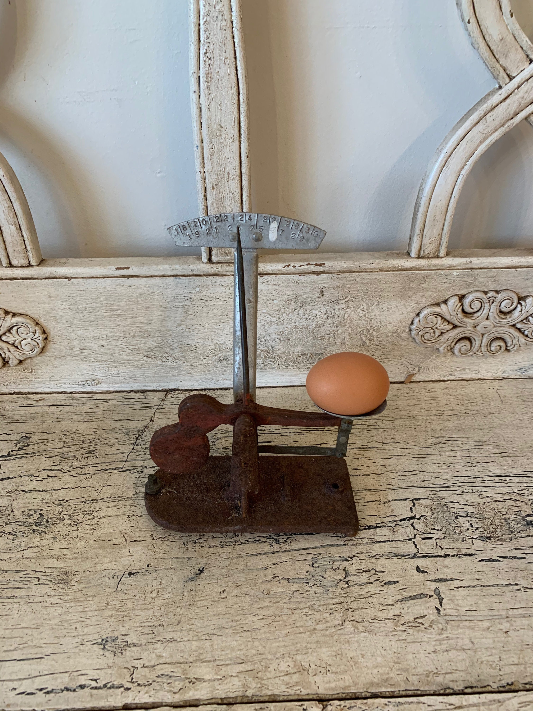 Egg Scale for sale | Only 3 left at -60%