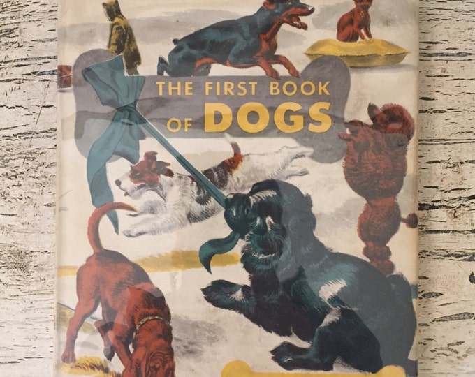 The First Book of Dogs - 1949 Vintage Dog Book - Etsy