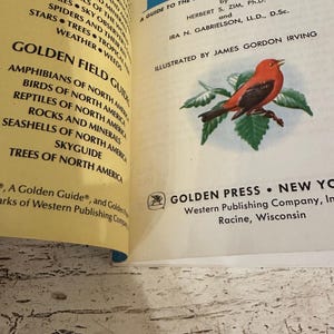Golden Nature Guide - Pocket Size - American Birds - 1956 - Etsy
