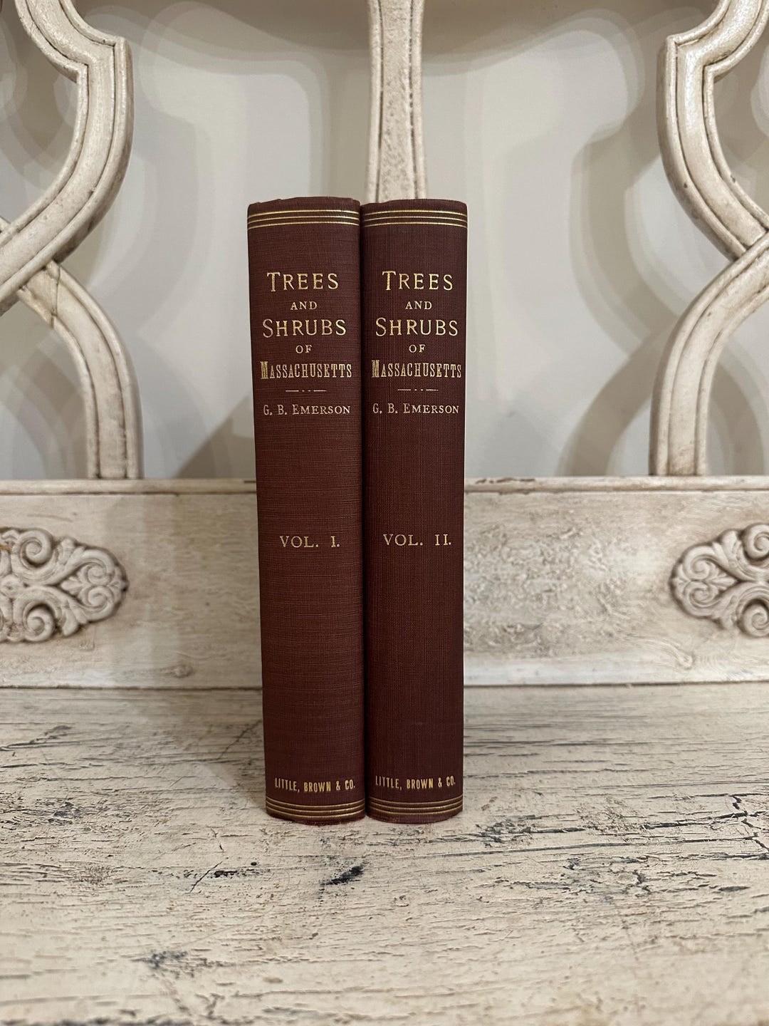 Antique Tree Book Set: the Trees and Shrubs of Massachusetts, 1903 ...