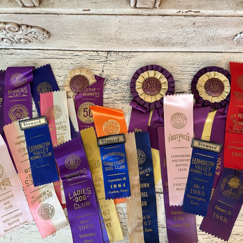 Dog Show Ribbons - Etsy