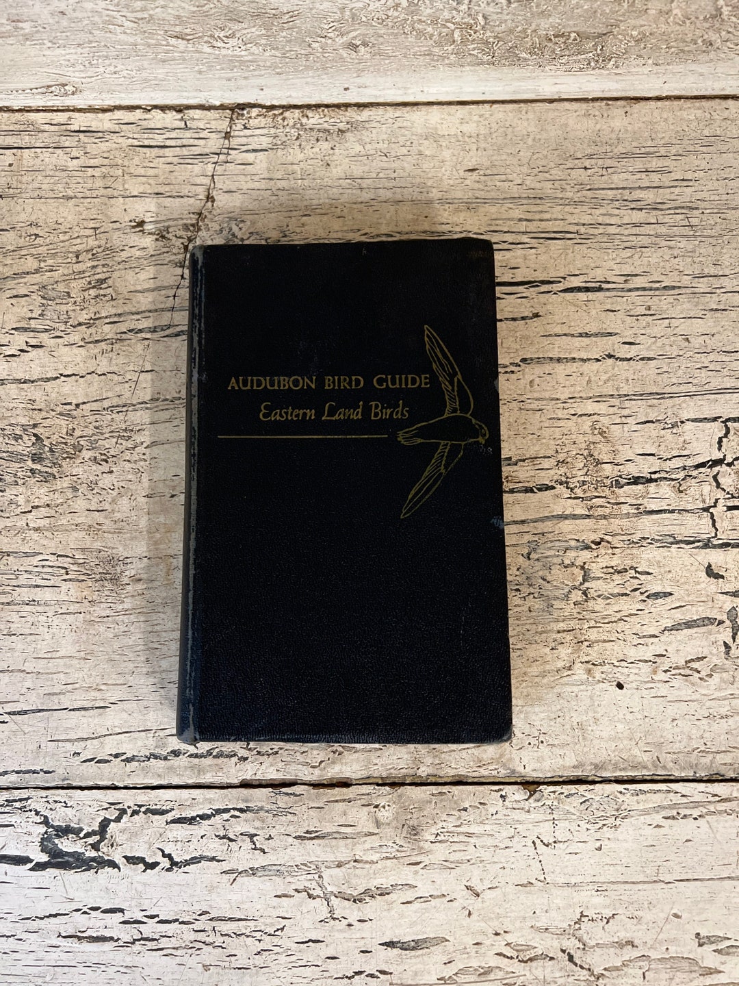 Audubon Bird Guide to Eastern Land Birds 1946 Soft-covered Bird Book - Etsy