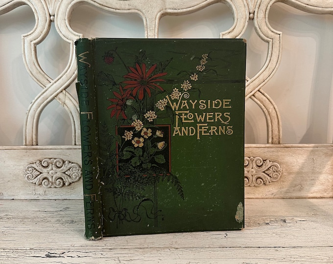 Antique Flower Book From 1887 - Wayside Flowers and Ferns - Tattered ...