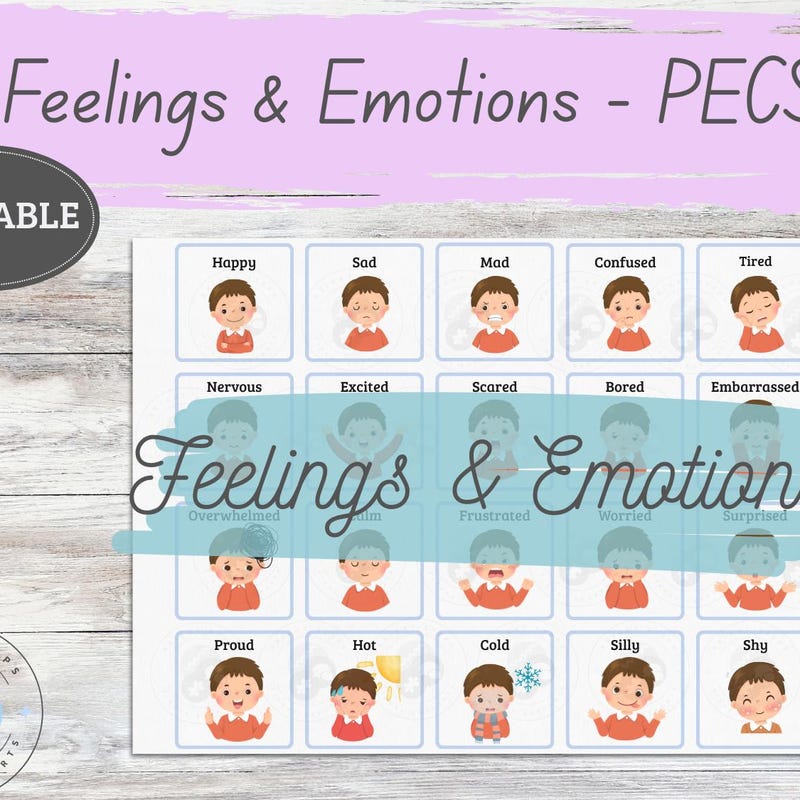Pecs Emotions - Etsy