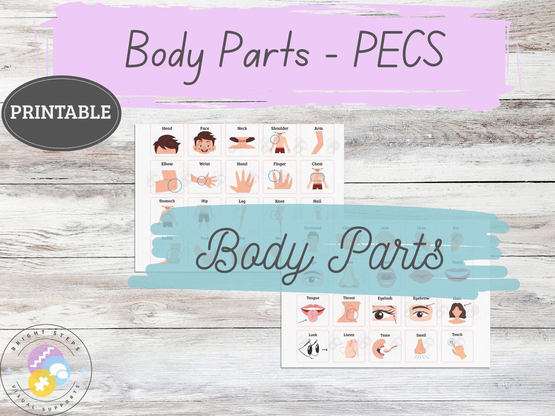 Body Parts PECS Communication Cards: Autism & Speech Therapy (PDF) - Etsy