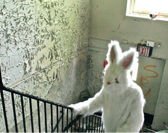 Color Photography Weird Photography Creepy Bunny frighten Halloween ...