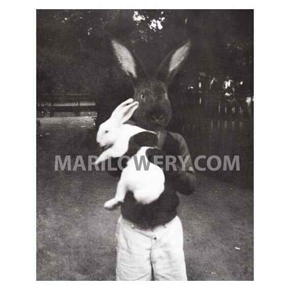 Color Photography Weird Photography Creepy Bunny frighten Halloween ...