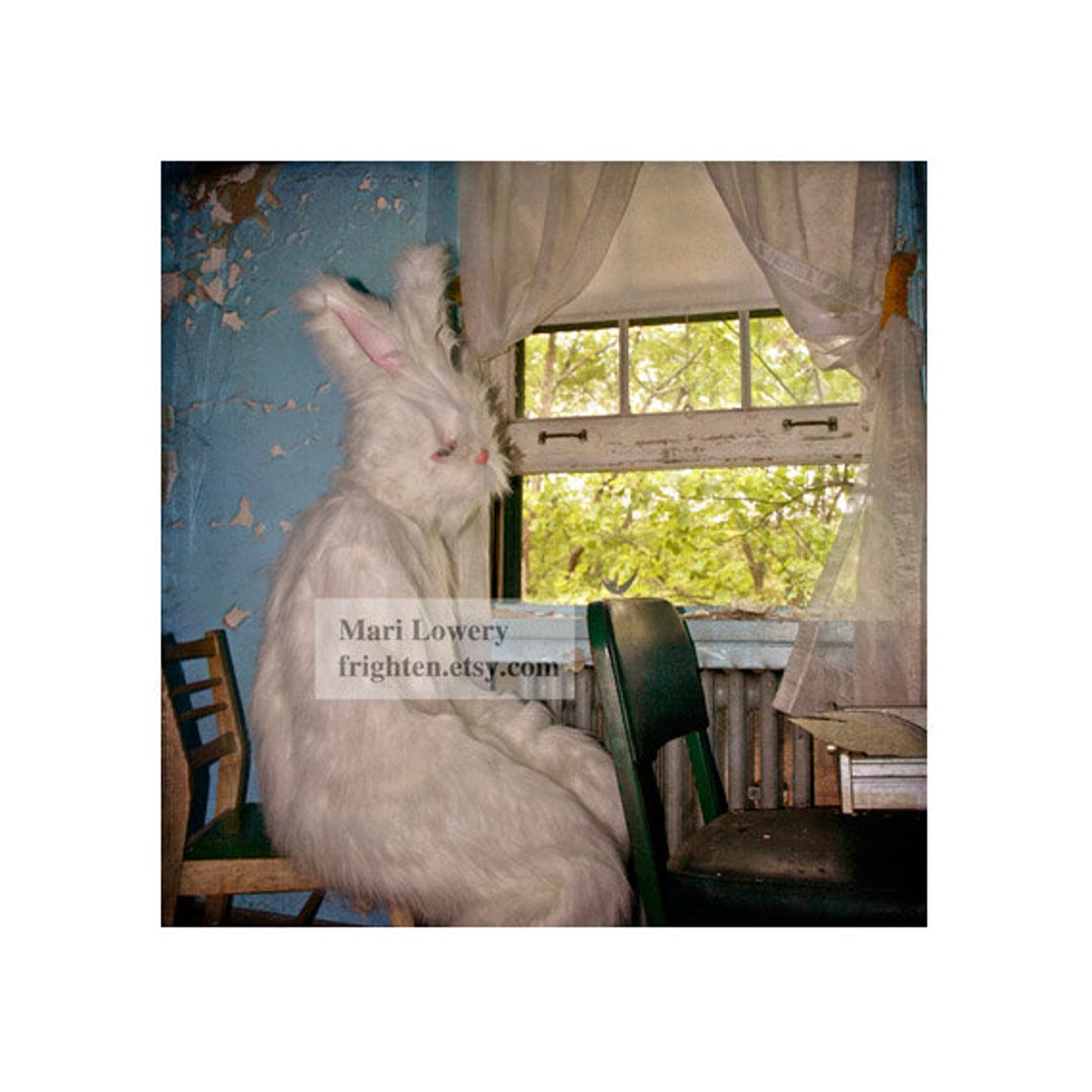 Creepy White Rabbit Photography Print, 8x8 on 8.5 X 11 Inch Photo Paper ...