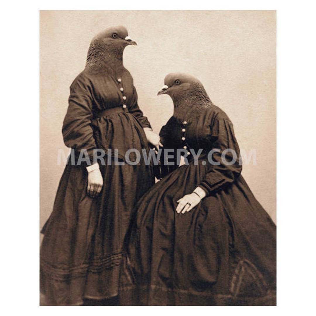 Pigeon Art Print, Altered Portrait, 8 X 10 Inch Collage Print, Pigeon ...