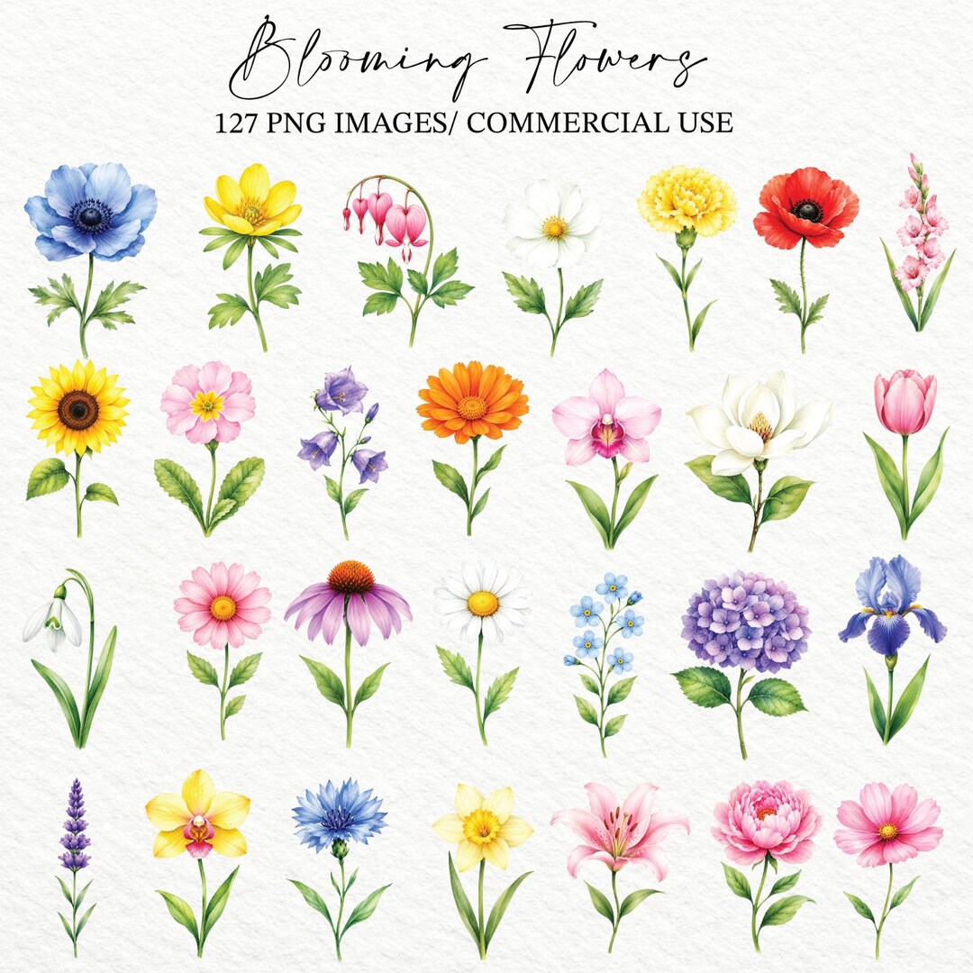 Blooming Flowers Clipart Bundle 127 Watercolor Floral PNG Set Botanical ...