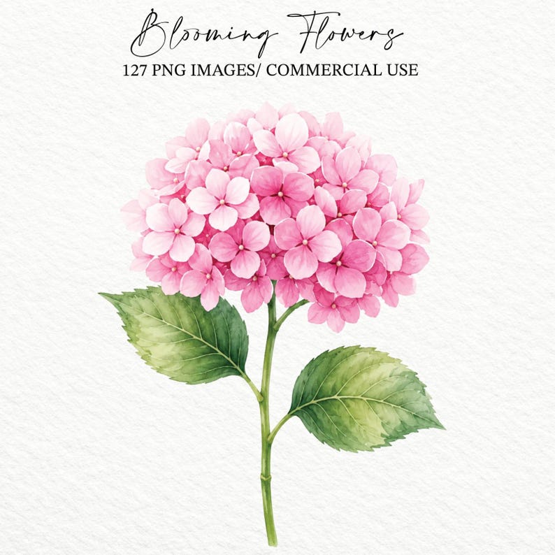 Blooming Flowers Clipart Bundle 127 Watercolor Floral PNG Set Botanical ...