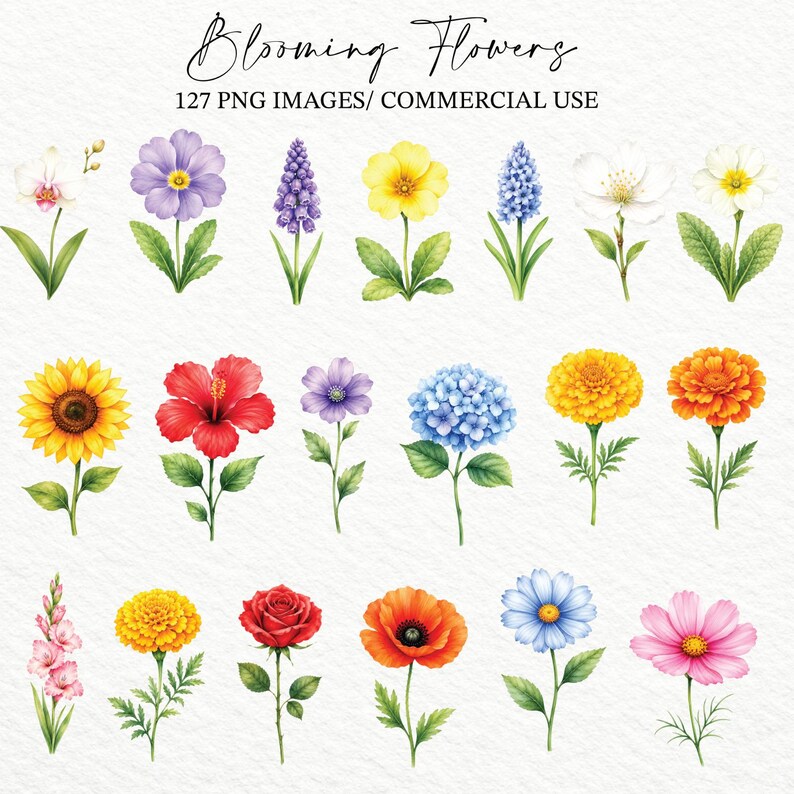 Blooming Flowers Clipart Bundle 127 Watercolor Floral PNG Set Botanical ...