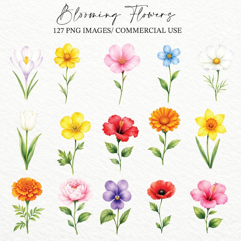 Blooming Flowers Clipart Bundle 127 Watercolor Floral PNG Set Botanical ...