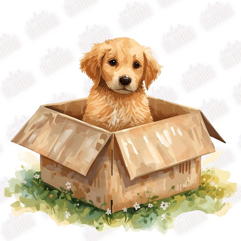 Golden Retriever Puppy in Box SVG PNG, Cute Dog Clipart Bundle, Gift ...