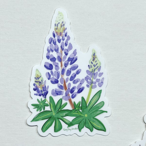 Lupine - Etsy