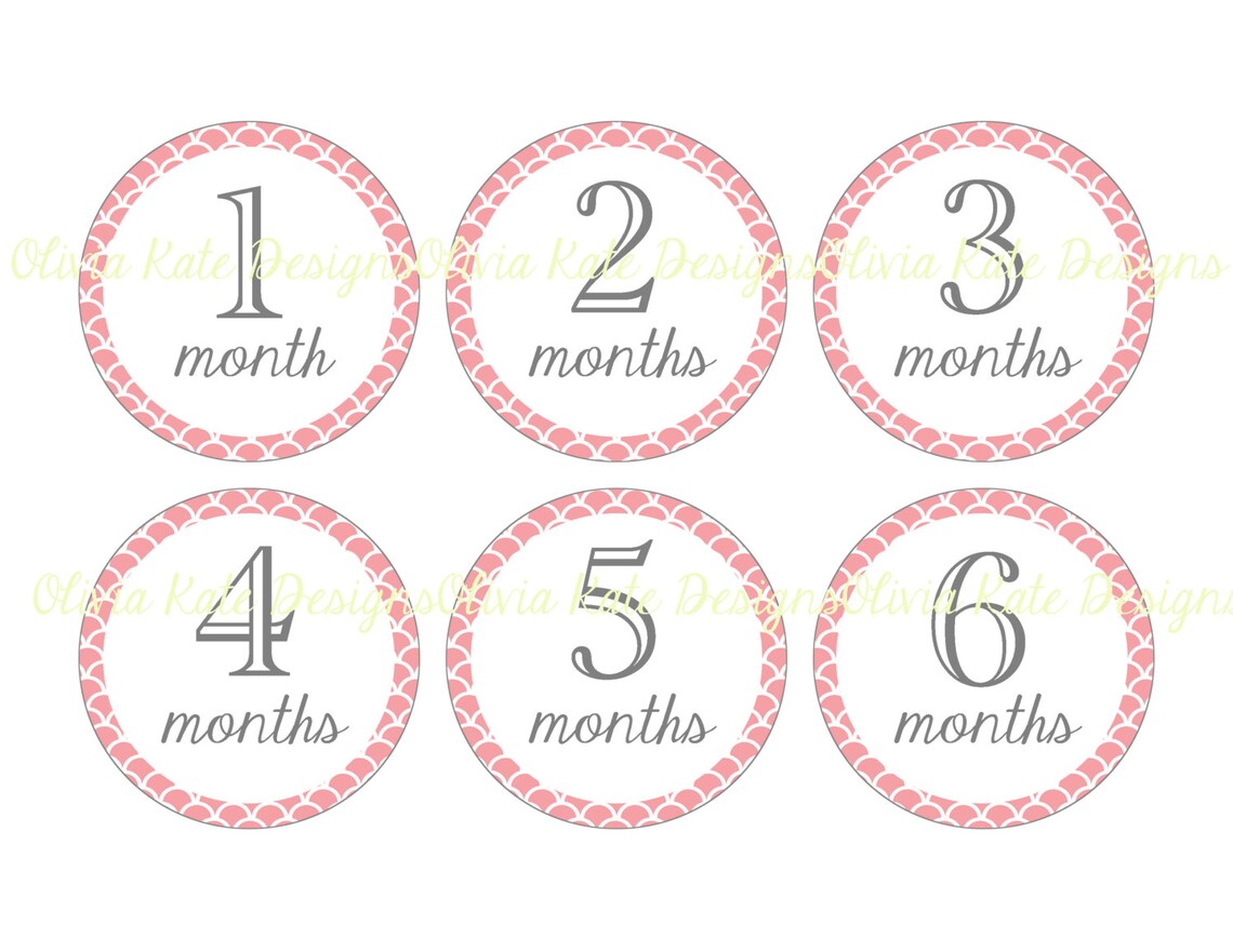 INSTANT DOWNLOAD - Printable Weekly and Monthly Baby Onesie Infant ...