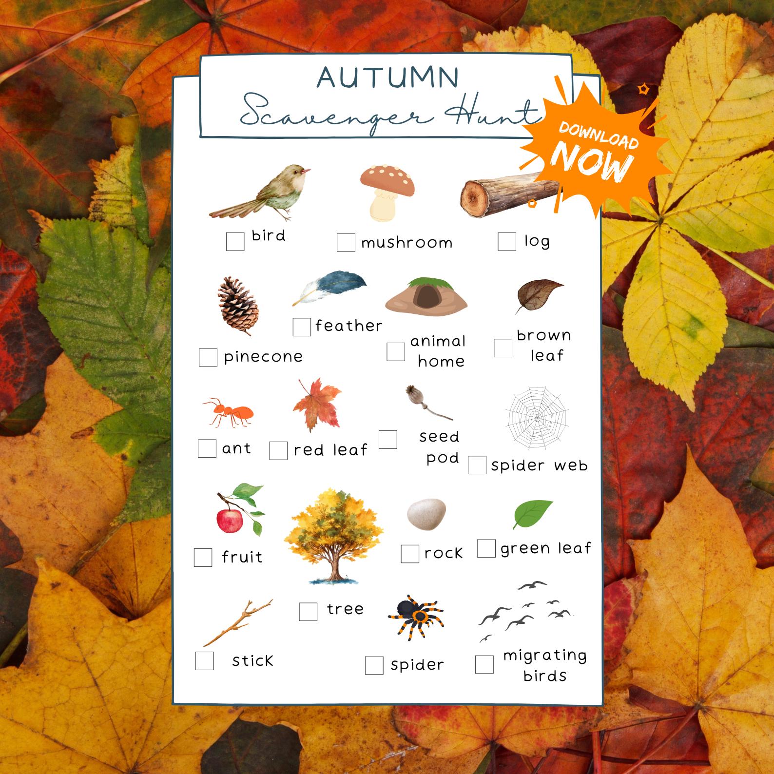 Autumn Nature Scavenger Hunt: Outdoor Kids Activity (digital Download ...