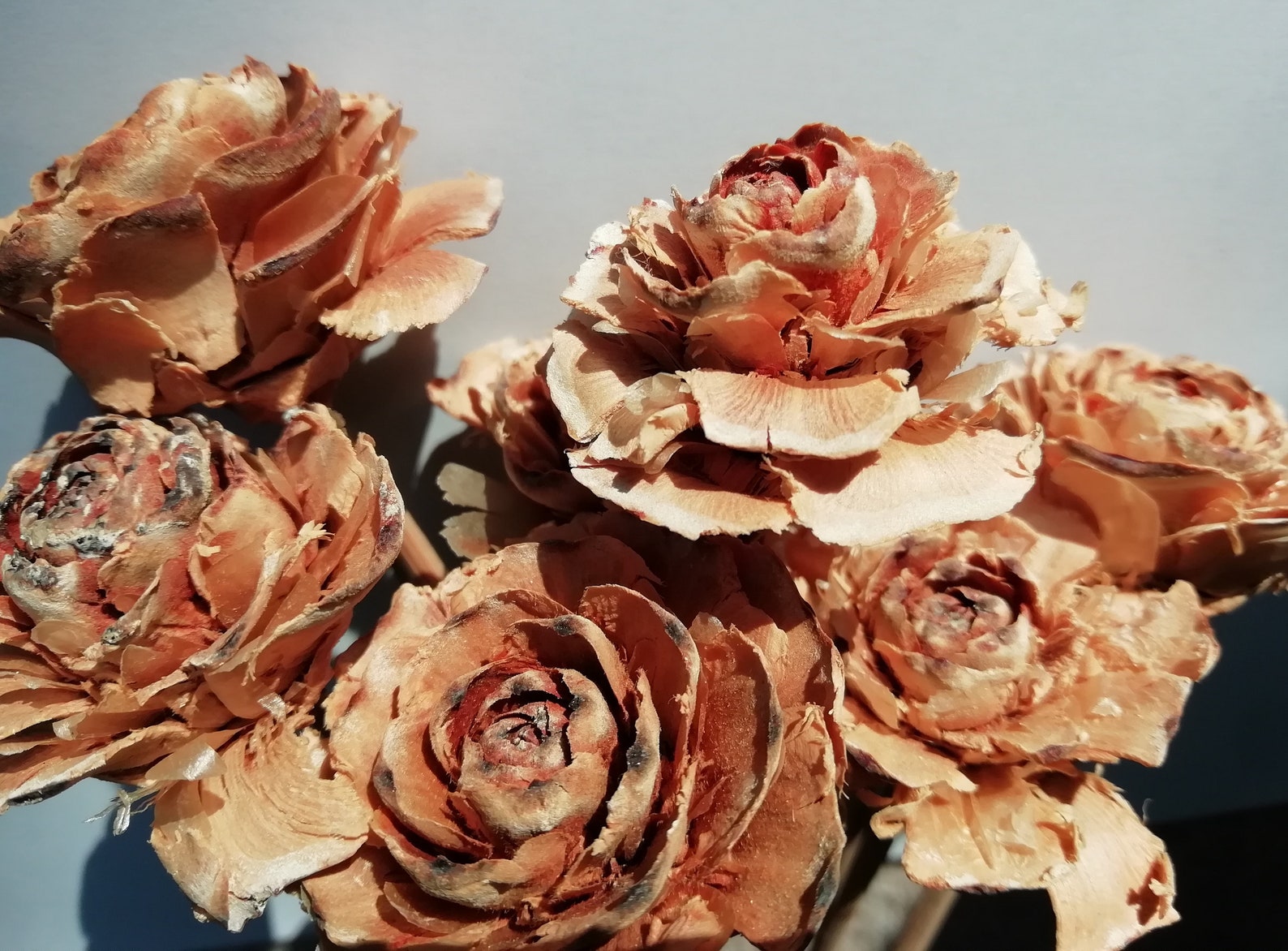 Natural Cedar Rose Picks 9 Pack | Woodrose Stems for Floristry - Etsy UK