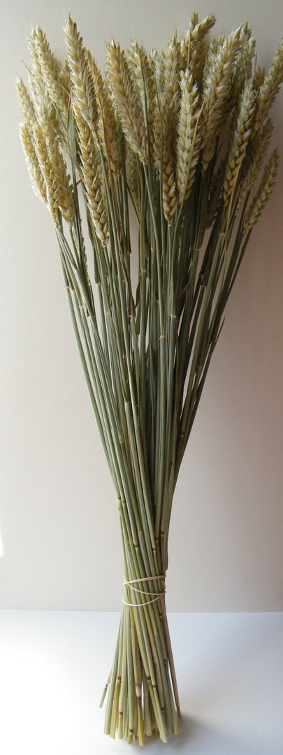 Wheat Bunch | UK Dried Wheat Stems | Dried Grasses British Grown | Dry ...