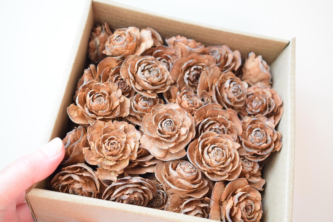Cedar Roses Pack of 50 for Home Decor, Craft and Floristry - Etsy UK
