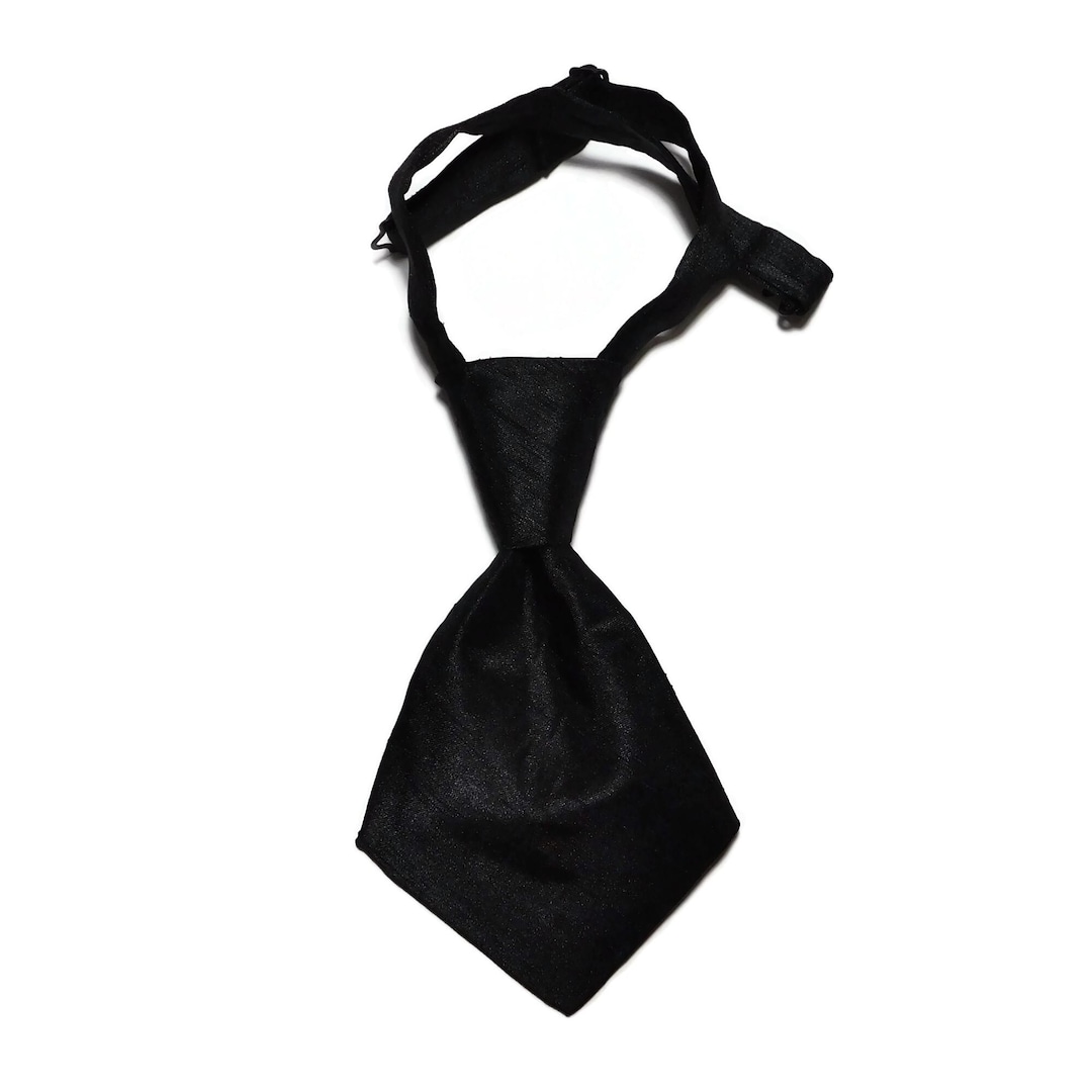 Mini Black Shantung Ladies Necktie Single Blade Tie for Work or Cosplay ...