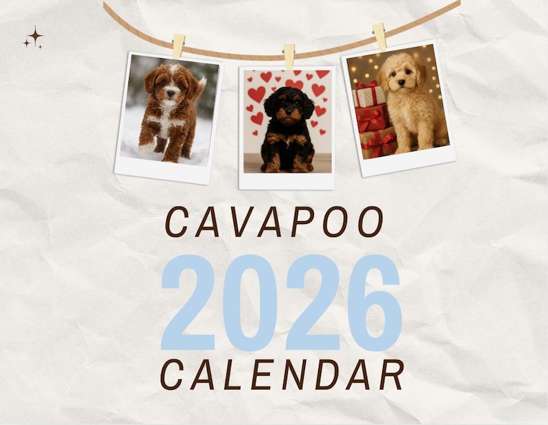 2026 Cavapoo Puppy Calendar | Modern Collage Layout (digital Download ...
