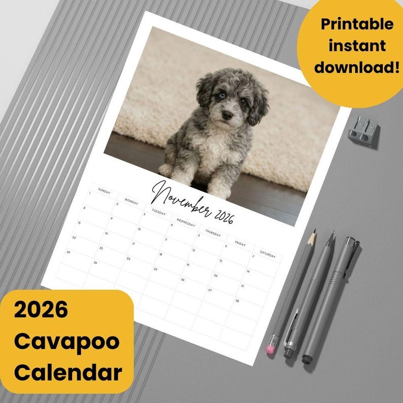2026 Cavapoo Puppy Calendar | Modern Collage Layout (digital Download ...