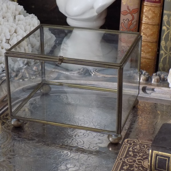 Curio Displays - Etsy