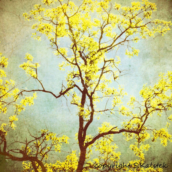 Tree Photograph Yellow Photography Living Room Decor Golden Brown ...