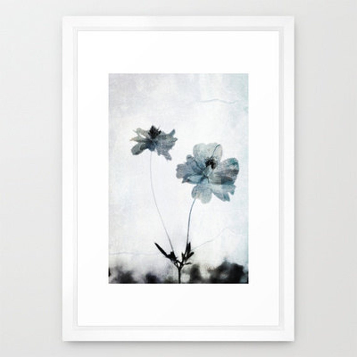 Ethereal Flower Photograph Pale Blue Gray White Wall Decor Botanical ...