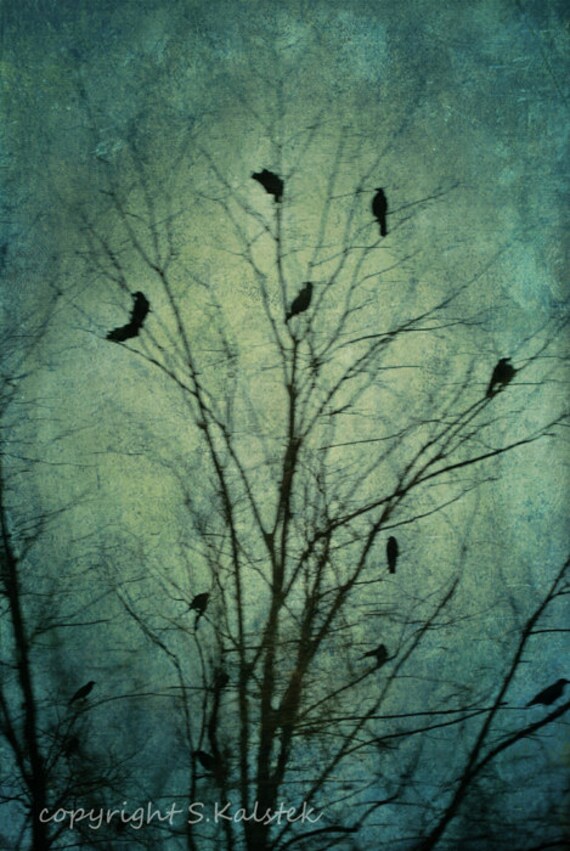 Crow Photograph Tree With Black Birds Nature Surreal Tree Wall - Etsy