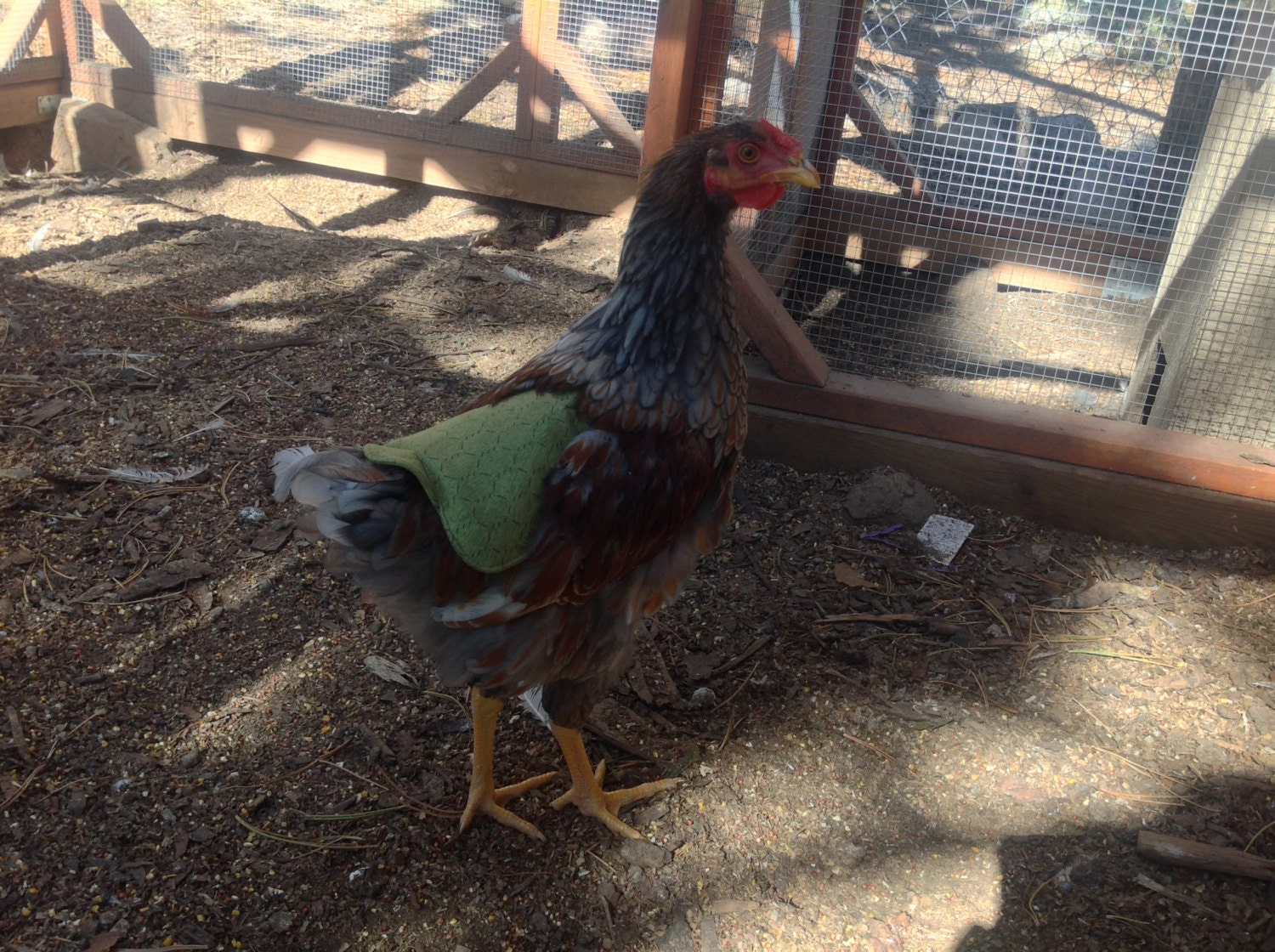 Hen Saddle Chicken Apron Tail Guard AND Now Added Wing Guard | Etsy