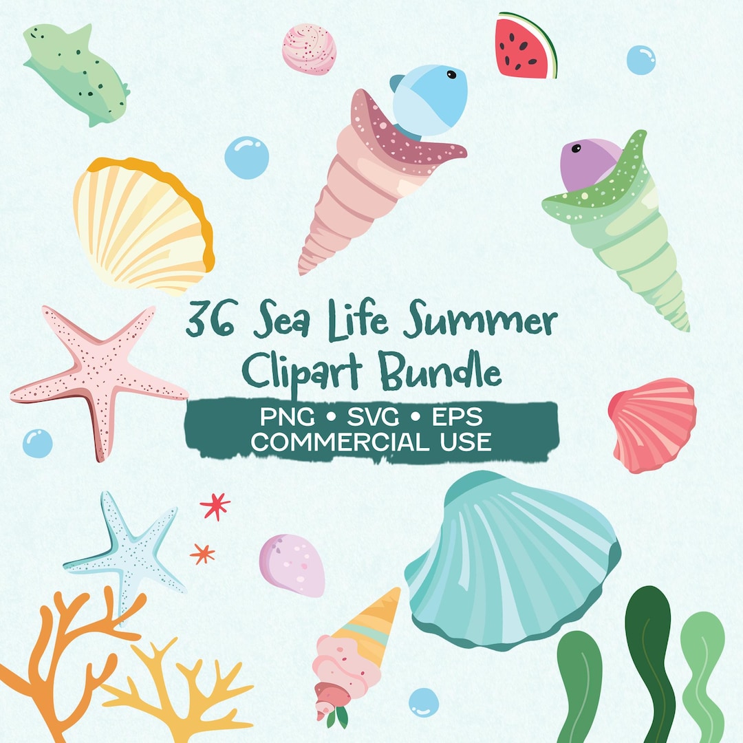 Sea Life Clipart Bundle – Ocean & Seashell Clipart Set - Etsy
