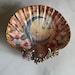 Decoupaged Shell Jewelry Dishjewelry Dish, Shell Dish, Moon Large Shell ...