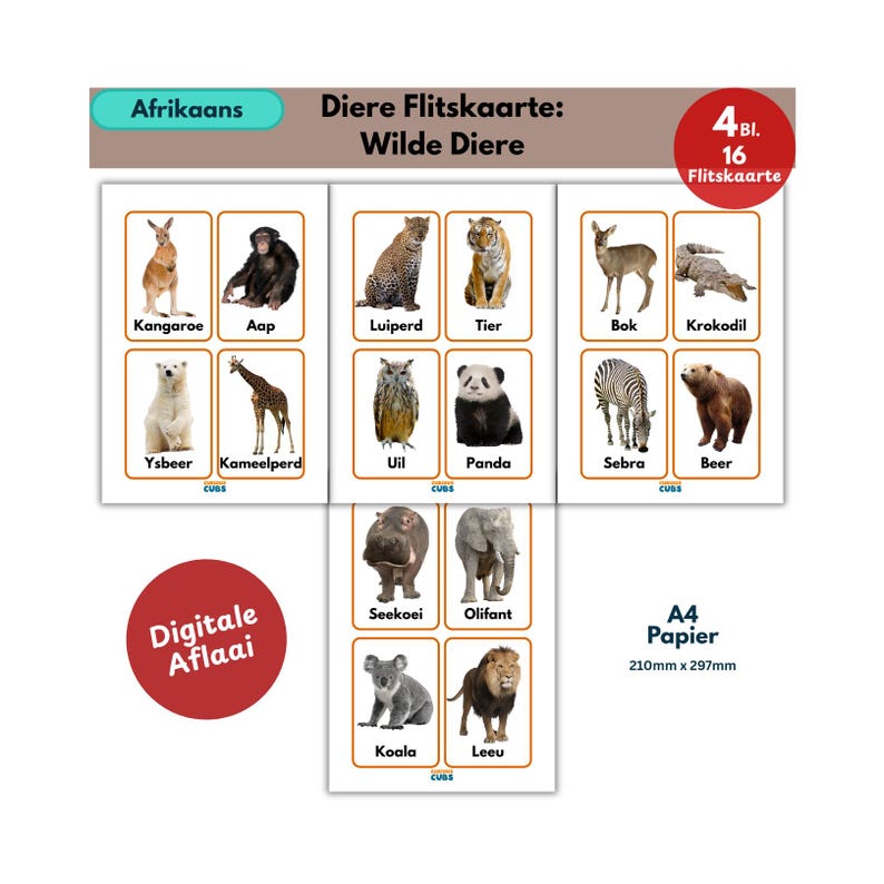 Afrikaans Animals Flashcards Bundle | Diere Flitskaarte | 64 Printable ...