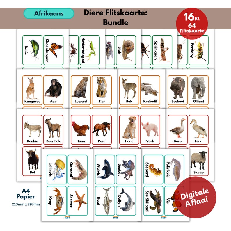 Afrikaans Animals Flashcards Bundle | Diere Flitskaarte | 64 Printable ...