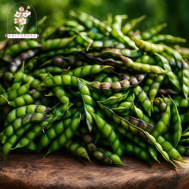 30 Pigeon Pea Seeds, Dhal Gungo Bean, Heirloom Puerto Rico Vegetable - Etsy