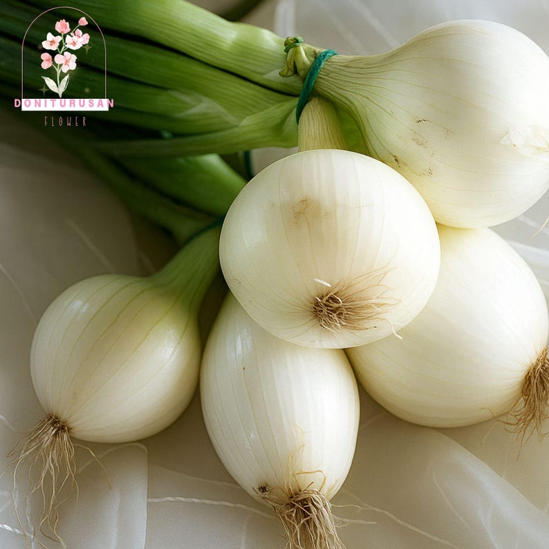 500 Crystal White Wax Pearl Onion Seeds: Mild Heirloom Allium Cepa - Etsy