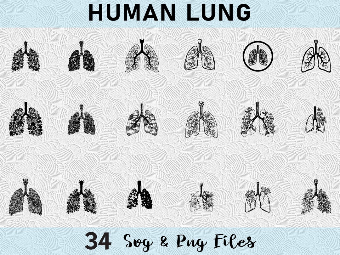 Human Lung Silhouette SVG PNG Bundle, Anatomy Clipart Vector, Cricut ...
