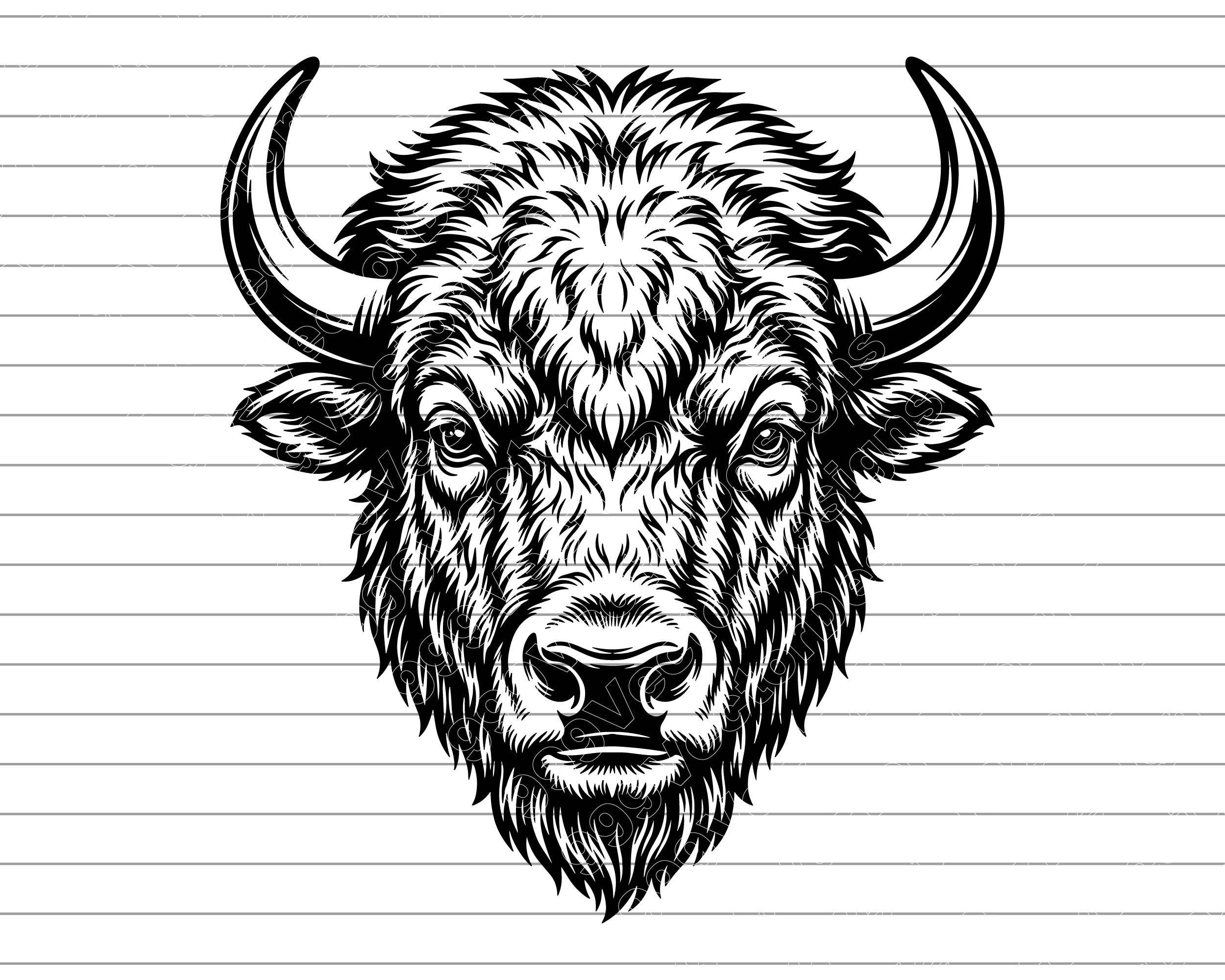 Bison Head Vector Illustration, SVG, PNG, JPG, Bison Art, Bison Clipart ...