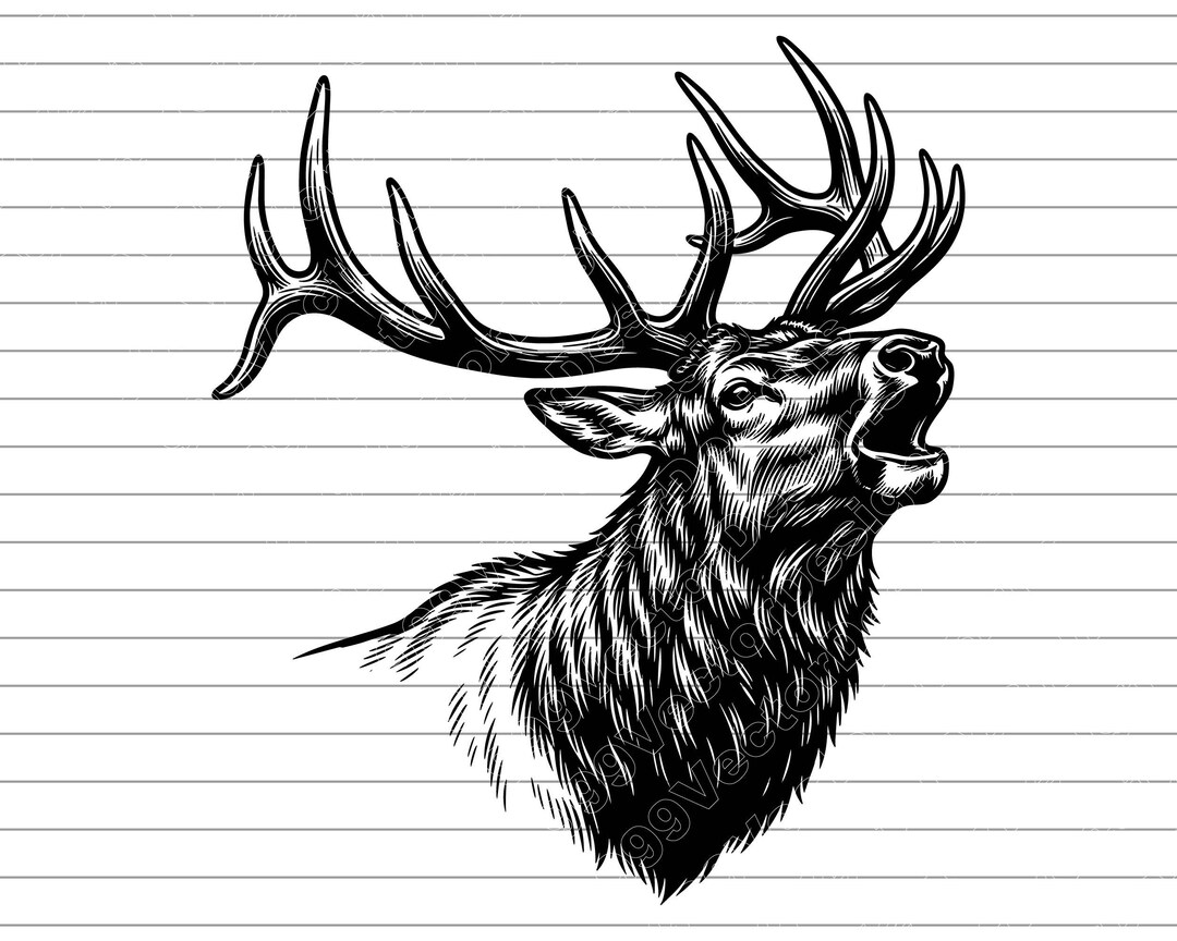 Elk Bugling Blast Vector Illustration, SVG, PNG, JPG, Elk Art, Elk ...
