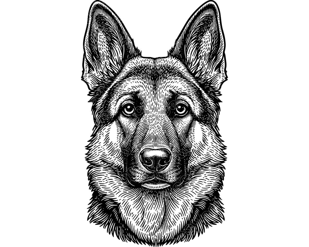 German Shepherd Head Vector: SVG, PNG, JPG Files - Etsy