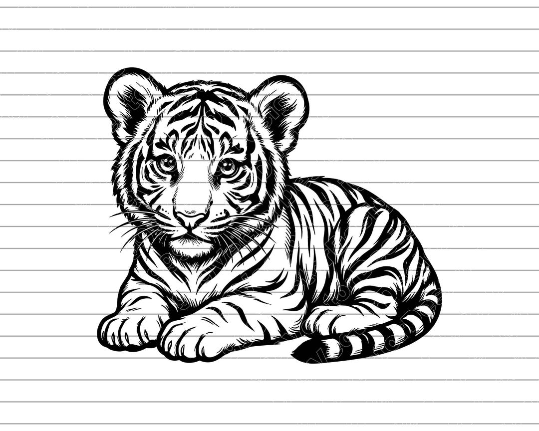 Tiger Cub Vector Illustration, SVG, PNG, JPG, Tiger Cub Art, Tiger Cub ...