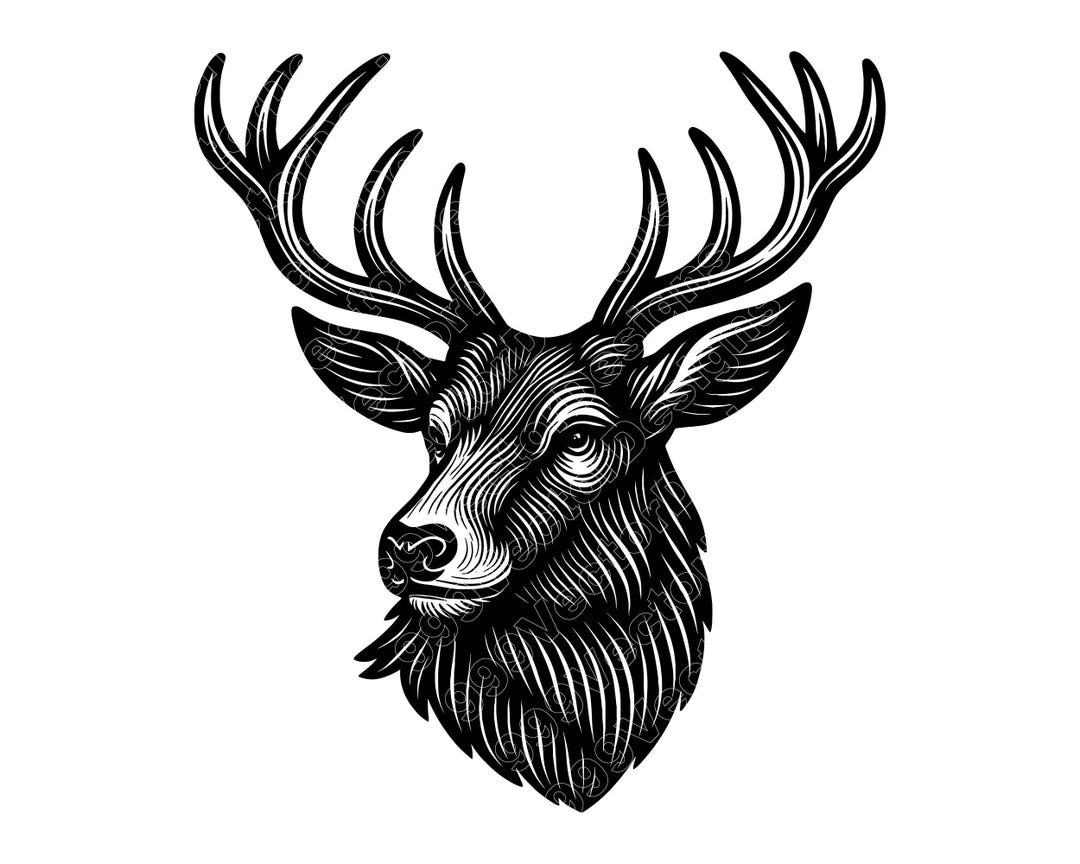 Whitetail Buck Vector Illustration: Deer SVG, PNG, JPG - Etsy