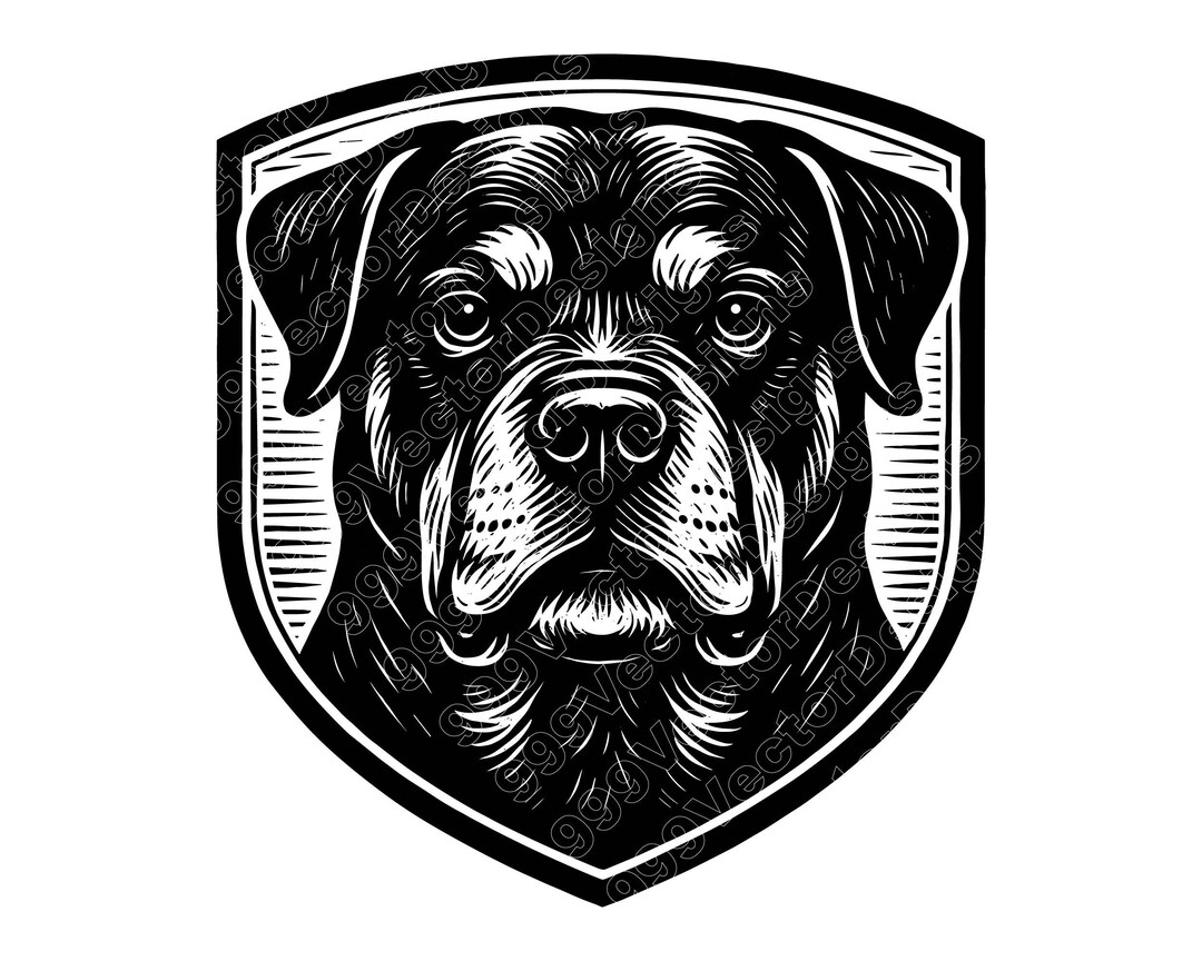 Rottweiler Head Vector Illustration: SVG, PNG, JPG (digital Download ...