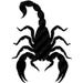 Scorpion Vector Illustration: SVG, PNG, JPG, Clipart - Etsy