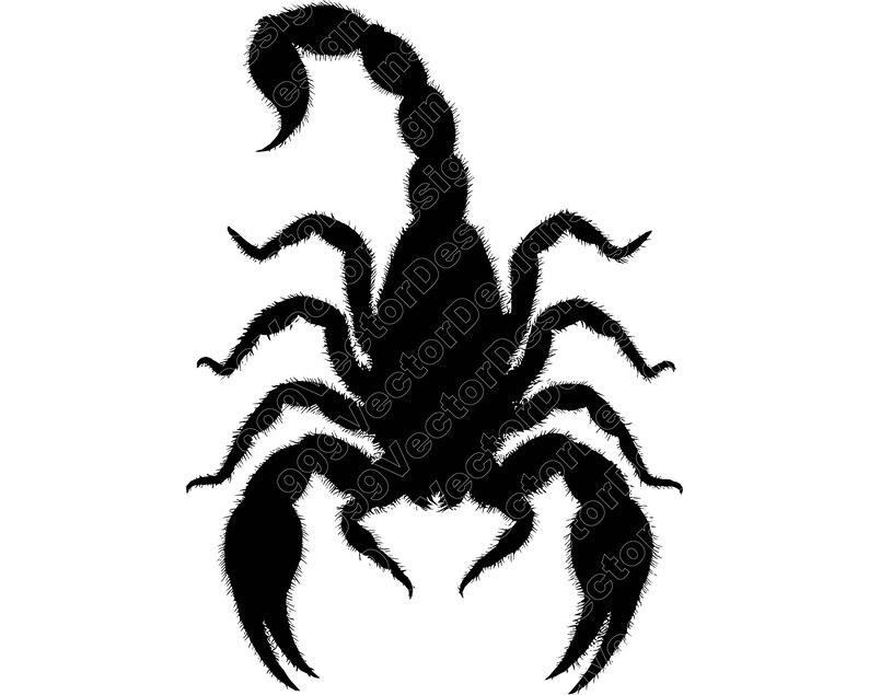 Scorpion Vector Illustration: SVG, PNG, JPG, Clipart - Etsy